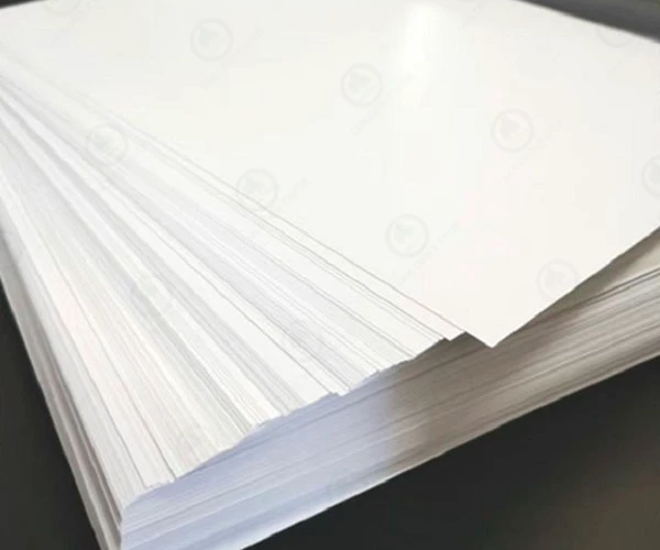 High Bulk FBB GC1/GC2: Golden Paper Company Limited